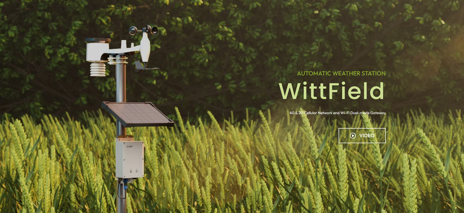 Professional Weather Products | Smart Home Product – Ecowitt